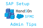 SAP Setup