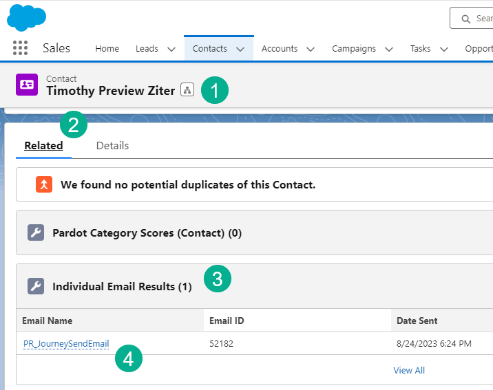 Preview-Resend App Overview