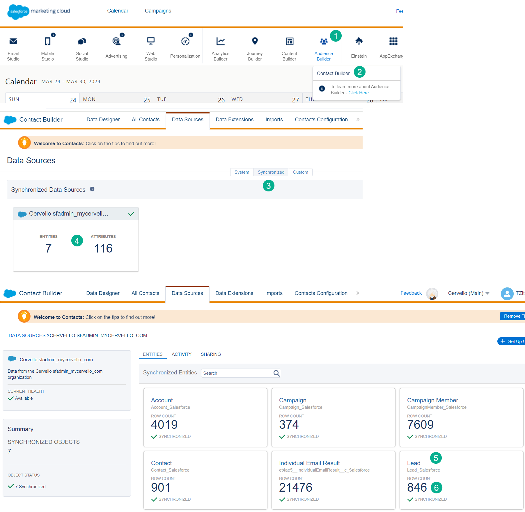 How to delete contacts in Marketing Cloud