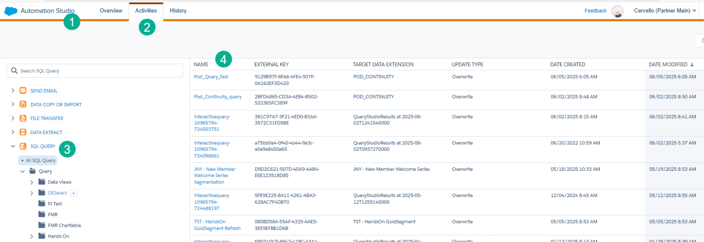 How to Automatically create a Query in Query Studio
