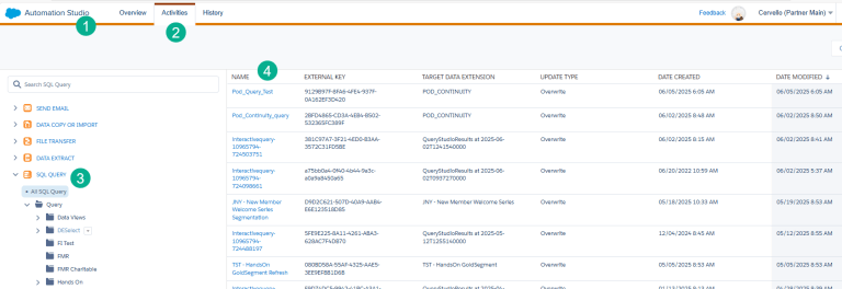 How to Automatically create a Query in Query Studio